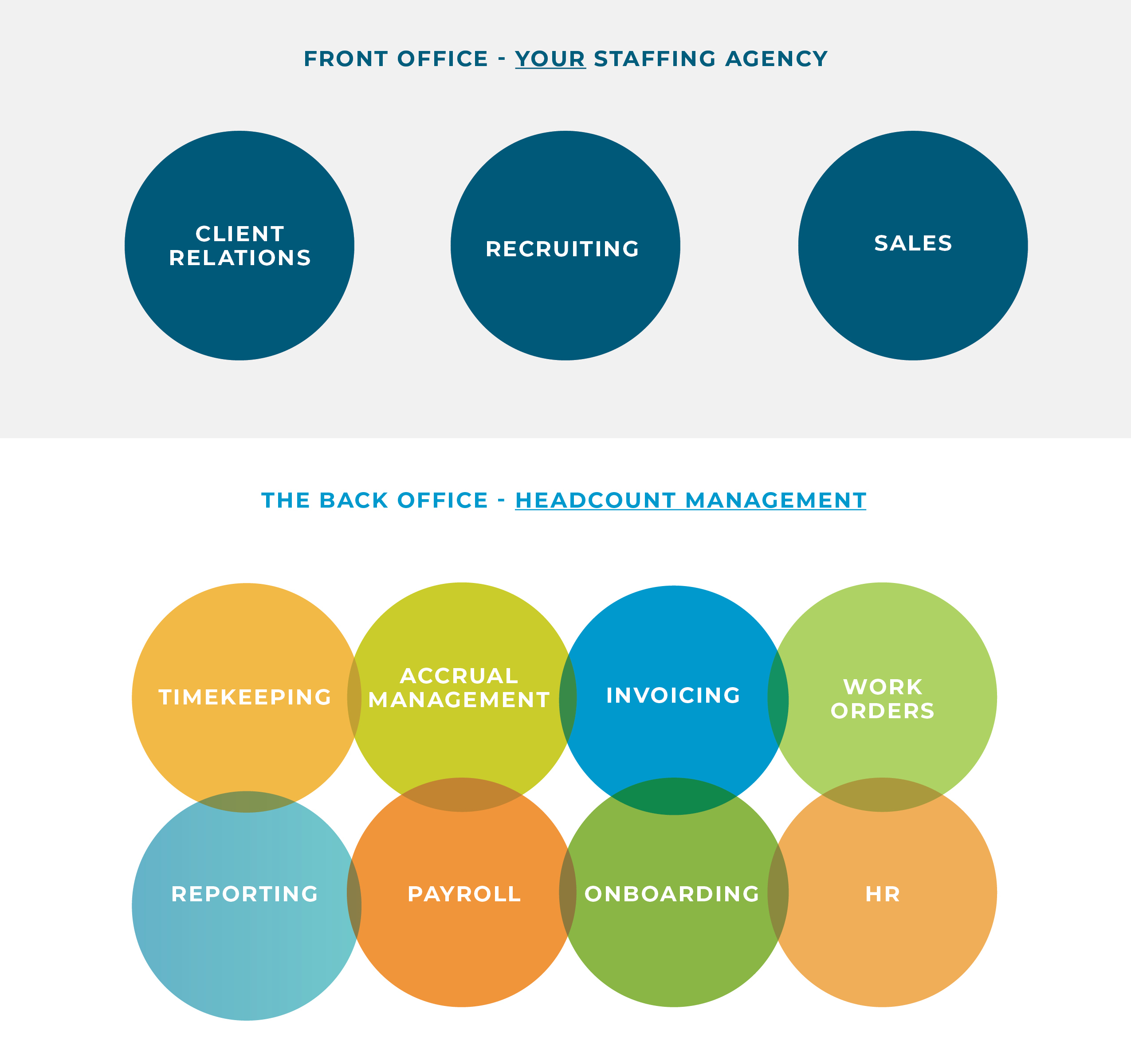 The Back Office | Headcount Management